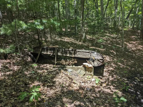 Best Hikes and Trails in I.C. DeHart Memorial Park | AllTrails