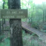 Womble Trail, Arkansas - 36 Reviews, Map | AllTrails