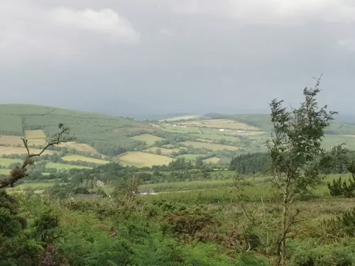 Best Hikes and Trails in Doneraile Wildlife Park | AllTrails