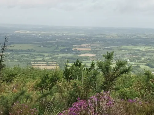 Best Hikes and Trails in Doneraile Wildlife Park | AllTrails