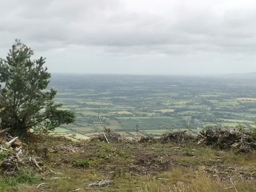 Best Hikes and Trails in Doneraile Wildlife Park | AllTrails
