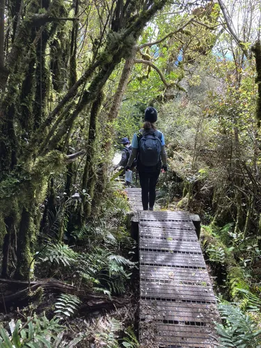 2023 Best Long Trails in Te Kuiti | AllTrails