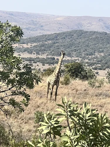 Best Hikes and Trails in Majakaneng | AllTrails