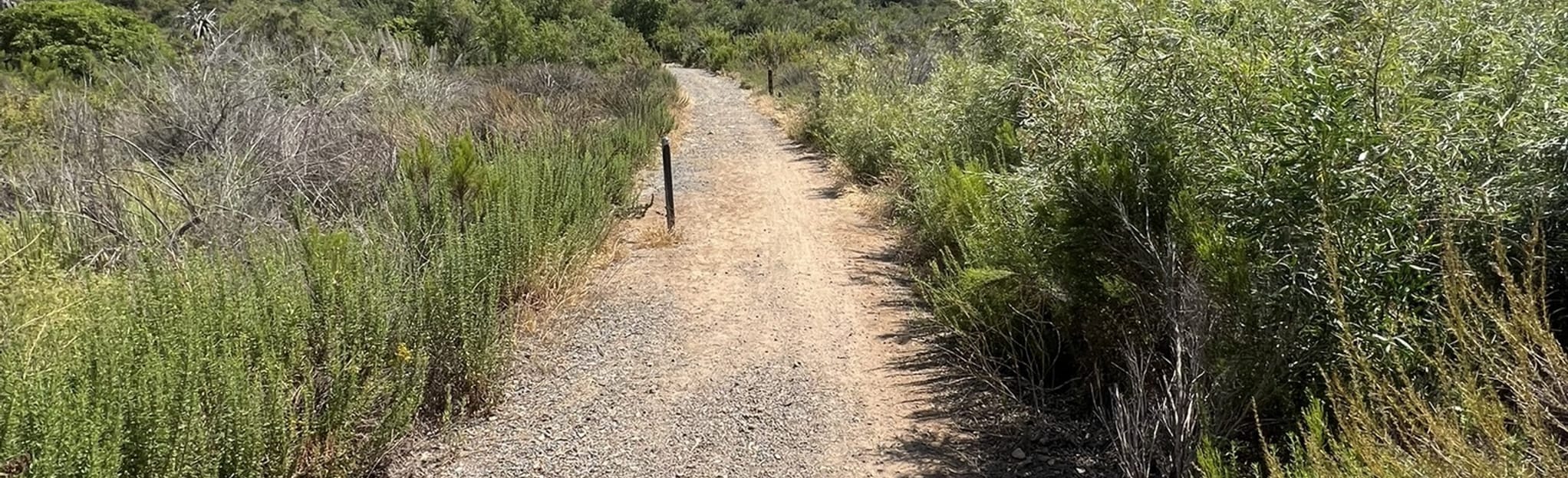 Rancho Drive Otay River Loop, California - 134 Reviews, Map | AllTrails