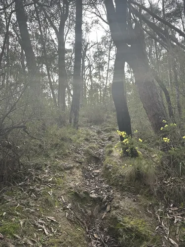 Best Hikes and Trails in Enfield State Park | AllTrails