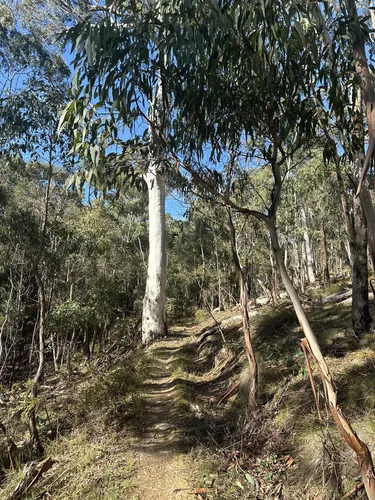 Best Hikes and Trails in Enfield State Park | AllTrails