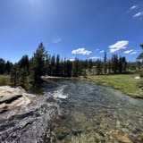 Soda Springs and Parsons Lodge Trail, California - 501 Reviews, Map ...