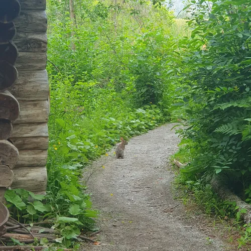 Best Hikes and Trails in Wye Marsh National Wildlife Area | AllTrails