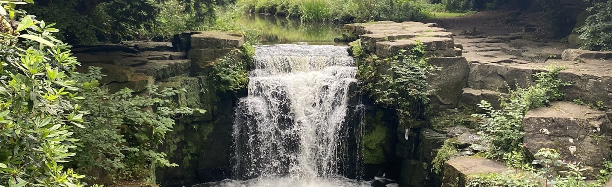 Jesmond Dene and Armstrong Park Circular: 128 Reviews, Map - Tyne and ...