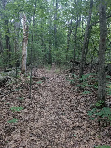 Best Hikes and Trails in Fay Grant Bird Sanctuary | AllTrails