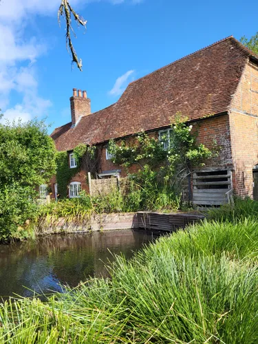 Melhores caminhadas e trilhas em Greywell Moors Nature Reserve | AllTrails