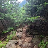 Carter Notch Hut, Dome, and 19 Mile Brook Trail, New Hampshire - 435 ...