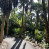 Apoxee and Owahee Trail Loop, Florida - 321 Reviews, Map | AllTrails