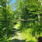Deerfield Wilderness Loop, New York - 261 Reviews, Map | AllTrails