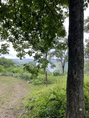 Best Hikes and Trails in Machimoodus State Park | AllTrails