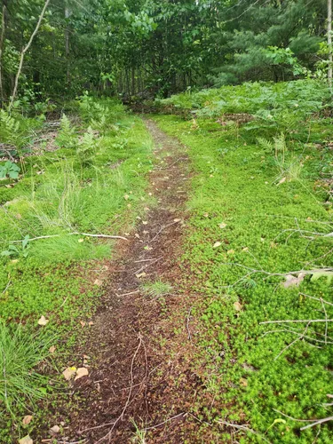 Best Hikes and Trails in Howard Hill Conservation Area | AllTrails