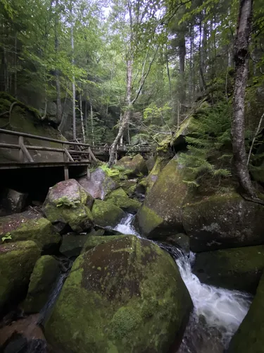 Best Hikes and Trails in Lost River Gorge & Boulder Caves | AllTrails