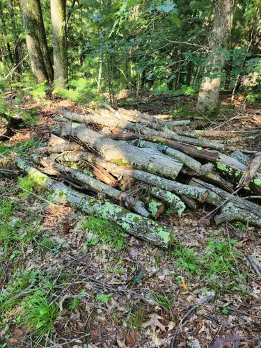 Best Hikes and Trails in Atkinson Forest Lands and Greens Area | AllTrails