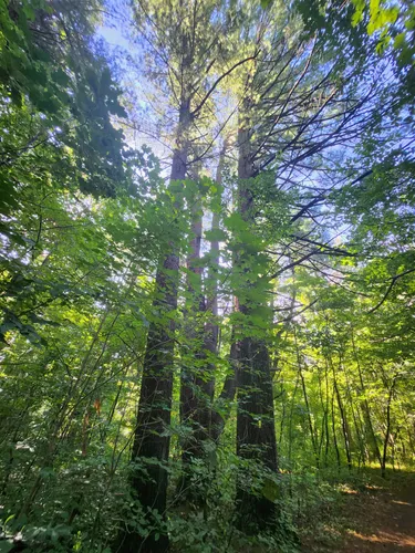 Best Hikes and Trails in Atkinson Forest Lands and Greens Area | AllTrails