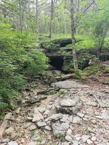 Best Hikes and Trails in Huckleberry Ridge Conservation Area | AllTrails