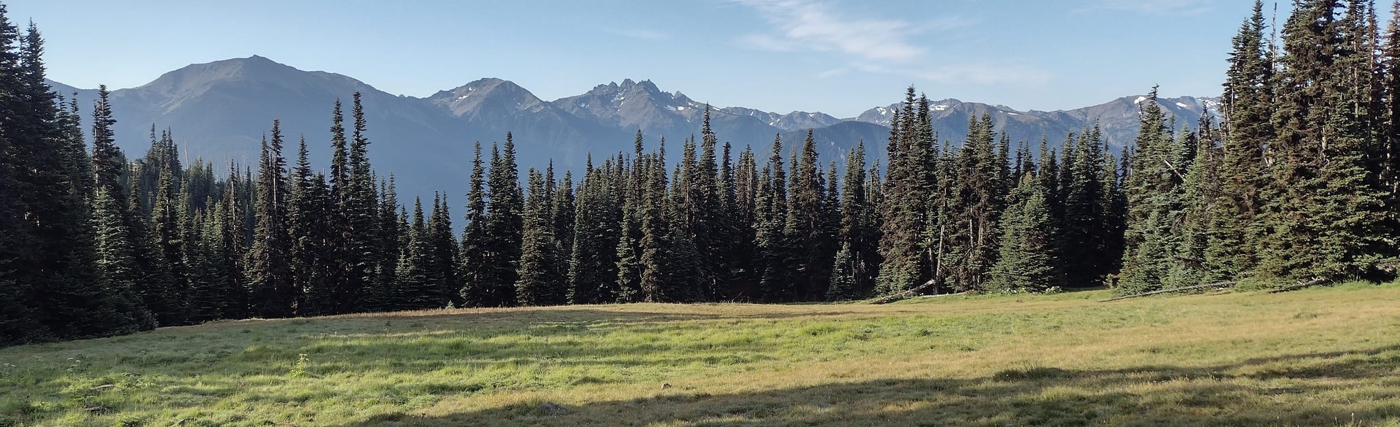 Three Forks Trail, Washington - 44 Reviews, Map | AllTrails