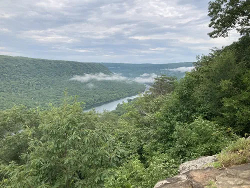 Best Hikes and Trails in Signal Point Park | AllTrails