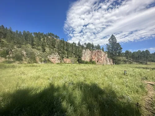 Best 10 Hikes and Trails in Wind Cave National Park | AllTrails