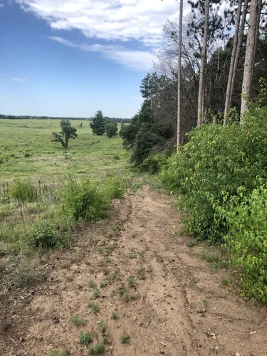 2023 Best Cross Country Skiing Trails in Belwin Conservancy: Stagecoach ...