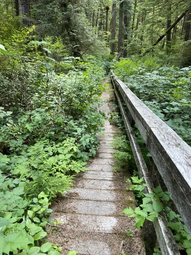 Best Hikes and Trails in Raft Cove Provincial Park | AllTrails