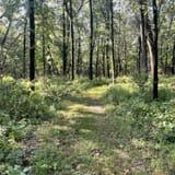Stemler Cave Woods Interpretive Long Trail, Illinois - 397 Reviews, Map ...