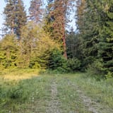 Rathdrum Mountain Trail, Idaho - 323 Reviews, Map | AllTrails