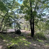 Neversink Loop Trail, Pennsylvania - 1,041 Reviews, Map | AllTrails