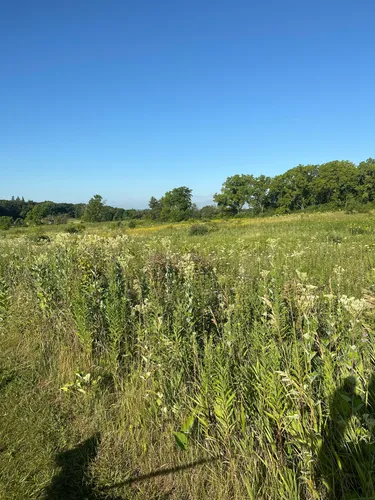 Best Hikes and Trails in Marengo Ridge Conservation Area | AllTrails