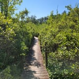 Chamberlain-Reynolds Memorial Forest Loop, New Hampshire - 830 Reviews ...
