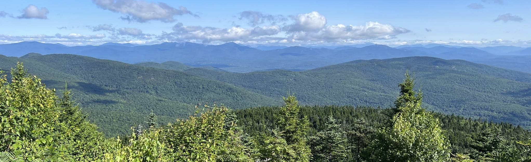 Mount Shaw via Cold Spring Trail : 692 photos - New Hampshire | AllTrails