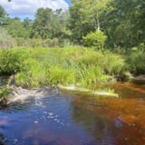 Carbuncle Pond and Moosup River Trail, Rhode Island - 261 Reviews, Map ...