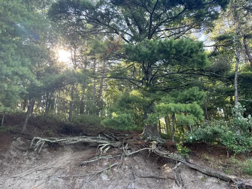 Best Hikes and Trails in Nicholas Farm Management Area | AllTrails