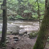 Bee Brook Loop, Connecticut - 1,001 Reviews, Map | AllTrails