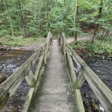 Bee Brook Loop, Connecticut - 1,001 Reviews, Map | AllTrails
