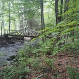 Bee Brook Loop, Connecticut - 1,001 Reviews, Map | AllTrails