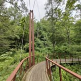 Bee Brook Loop, Connecticut - 1,001 Reviews, Map | AllTrails