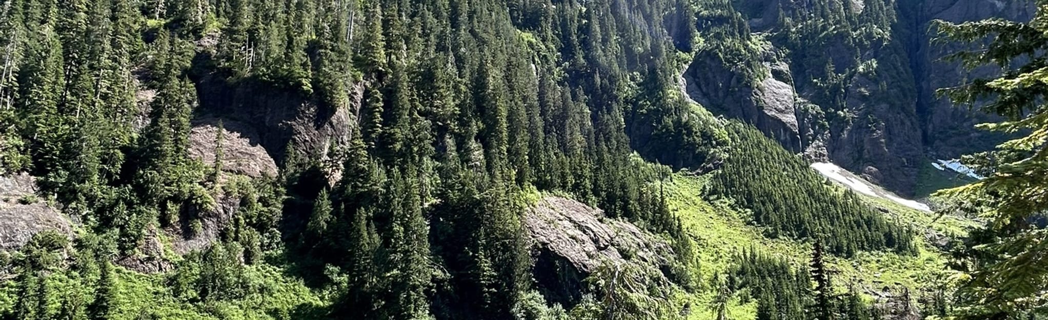 Century Sam Lake, British Columbia, Canada - 429 Reviews, Map | AllTrails