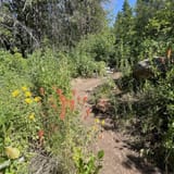 Ruedi Overlook Trail, Colorado - 60 Reviews, Map | AllTrails