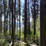 Ruedi Overlook Trail, Colorado - 60 Reviews, Map | AllTrails