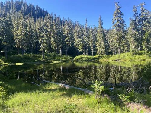 Best Walking Trails in Maple Falls | AllTrails