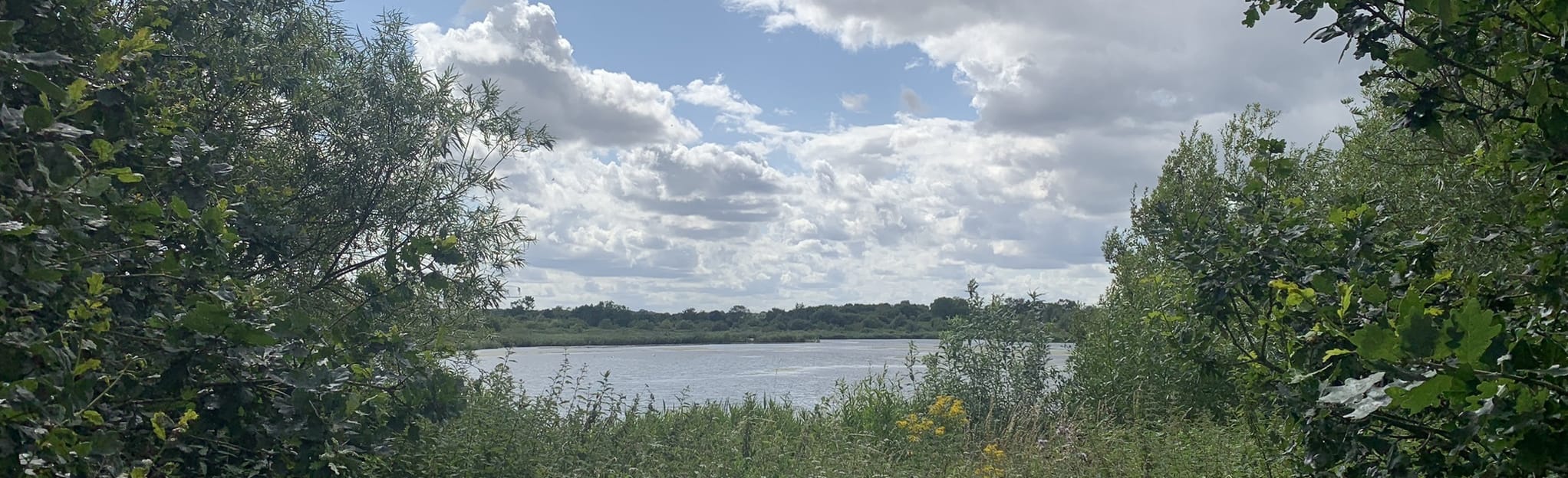 RSPB Middleton Lakes Circular, Staffordshire, England - 65 Reviews, Map ...