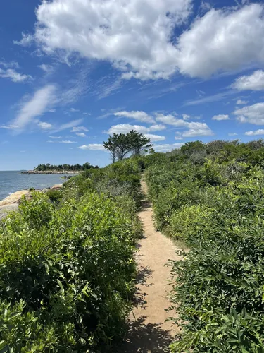Best Hikes and Trails in Hammonasset Beach State Park | AllTrails