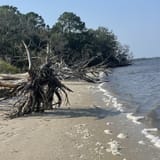 Guana Trail, Marshview Lane, and Shellbluff Road, Florida - 286 Reviews ...