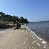 Guana Trail, Marshview Lane, and Shellbluff Road, Florida - 286 Reviews ...