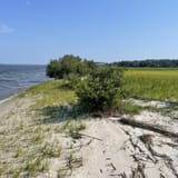 Guana Trail, Marshview Lane, and Shellbluff Road, Florida - 248 Reviews ...